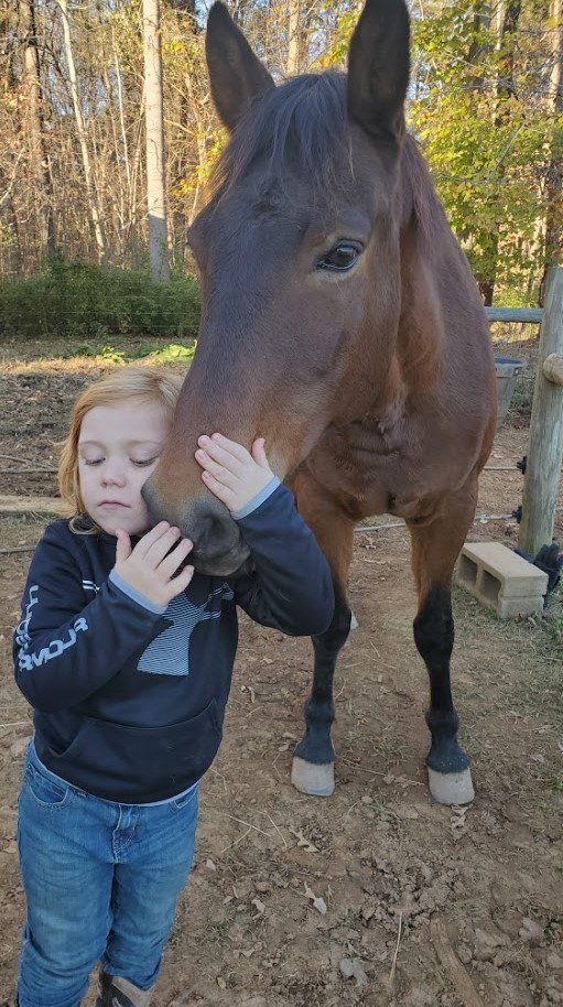 Riding Lessons – RH Farm