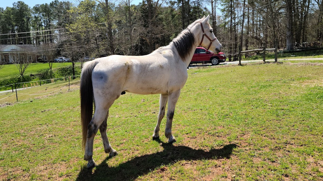 Adopted – RH Farm