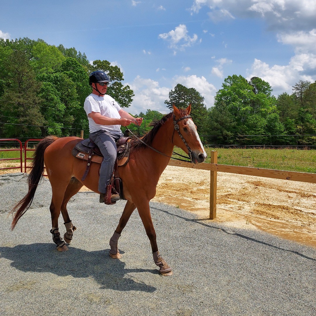 Riding Lessons – RH Farm