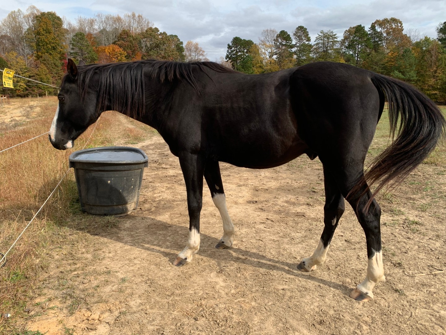 Adopted – RH Farm