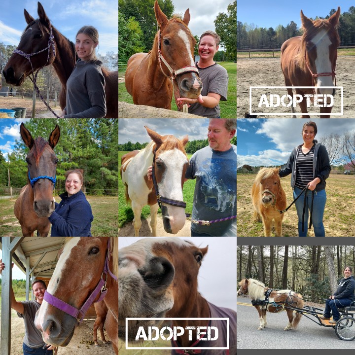 Our 2023 – RH Farm