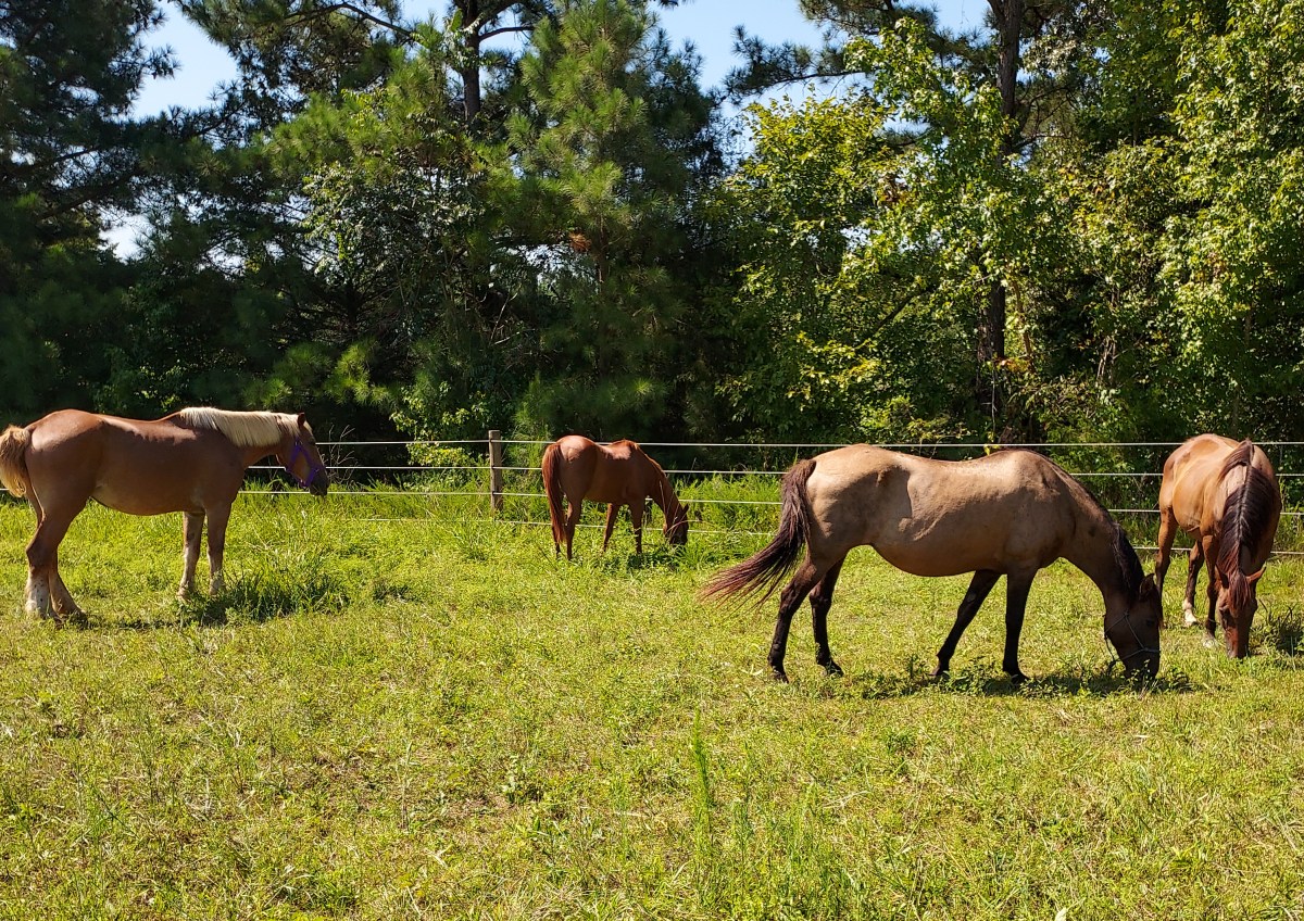 Our 2023 – RH Farm