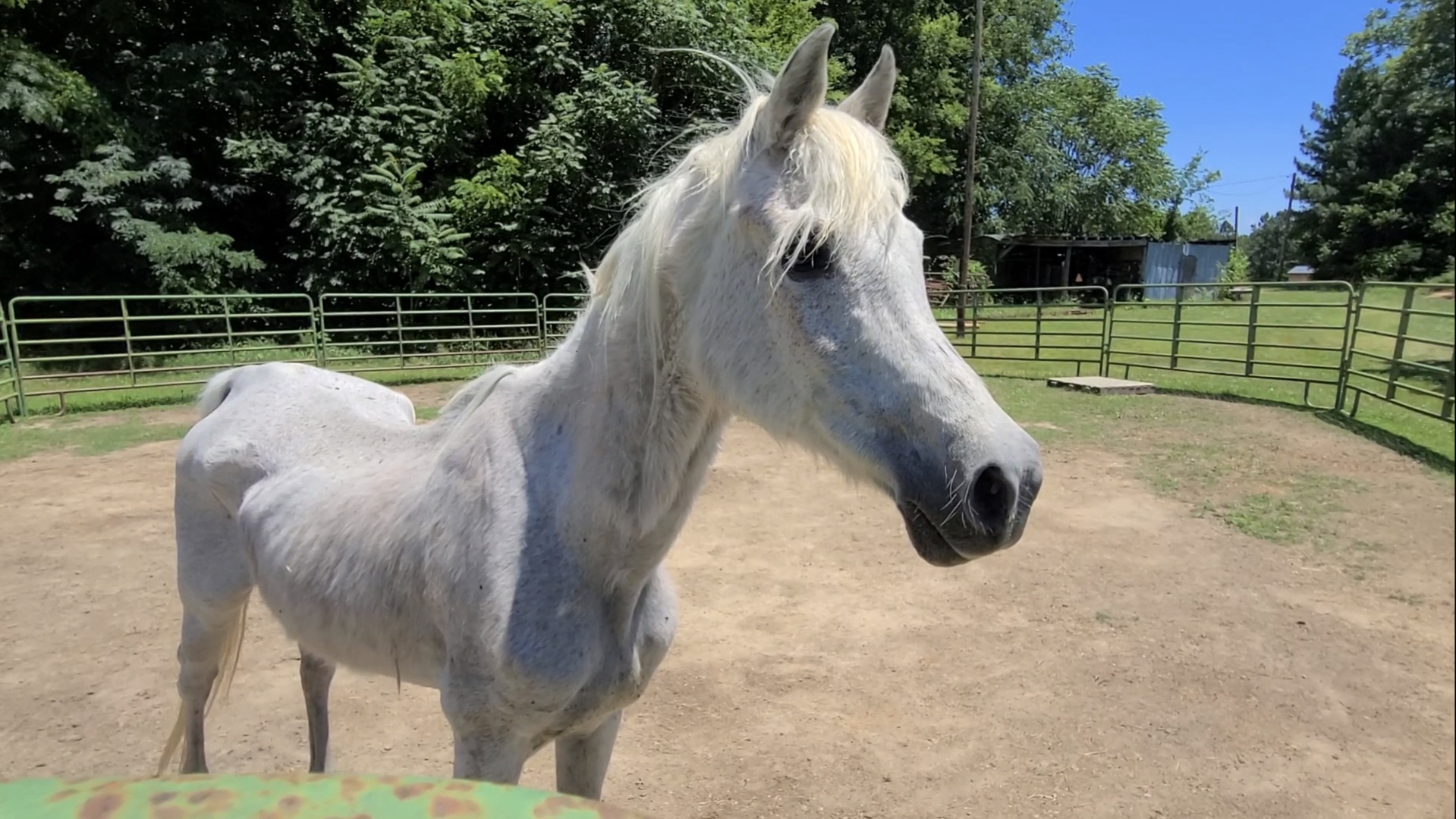 Donations – RH Farm