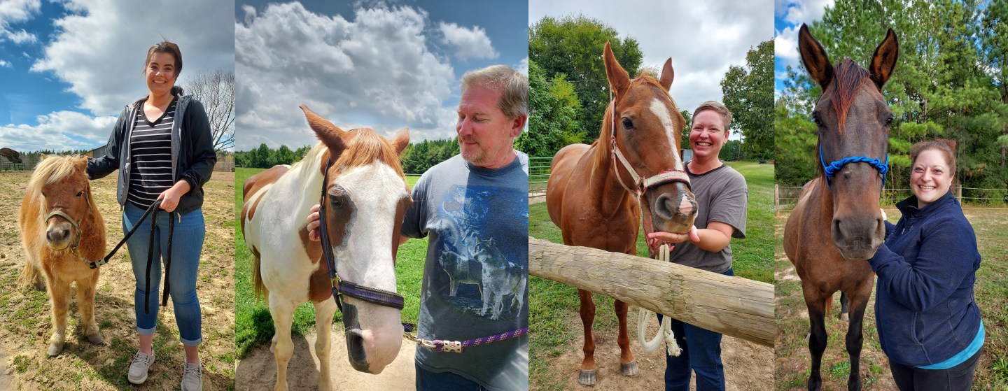Available Horses – RH Farm